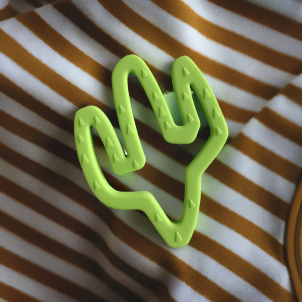 Cactus Silicone Baby Teething Toy – Little Teether